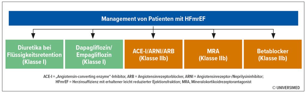 Herzinsuffizienz-Guideline: Empfehlung für SGLT2i bei HFmrEF und HFpEF - Kardiologie ...